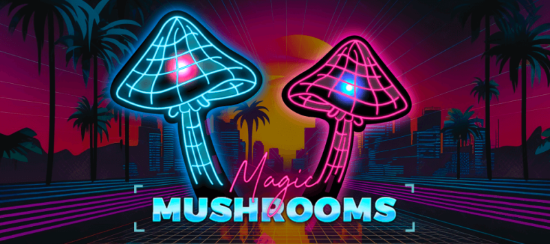 Home - Shroom Bros USA